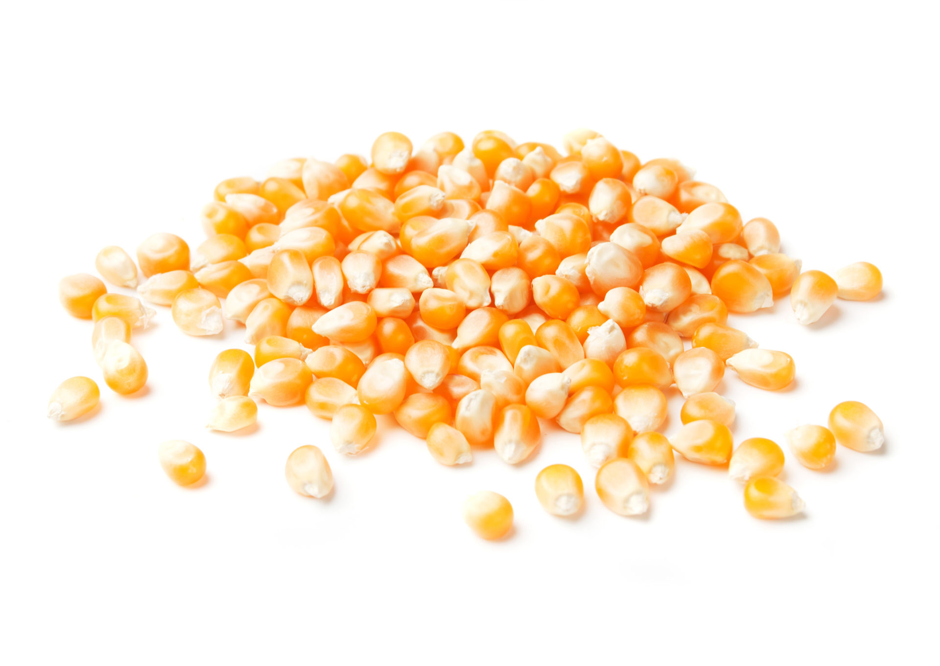 Distiller’s Dried Grains and Soluble (DDGS) – Damask Investment Malta