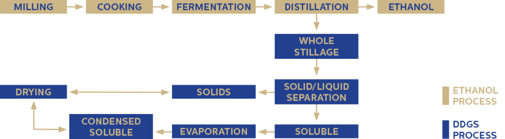 Distiller’s Dried Grains and Soluble (DDGS) – Damask Investment Malta