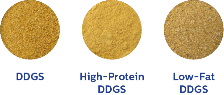 Distiller’s Dried Grains and Soluble (DDGS) – Damask Investment Malta