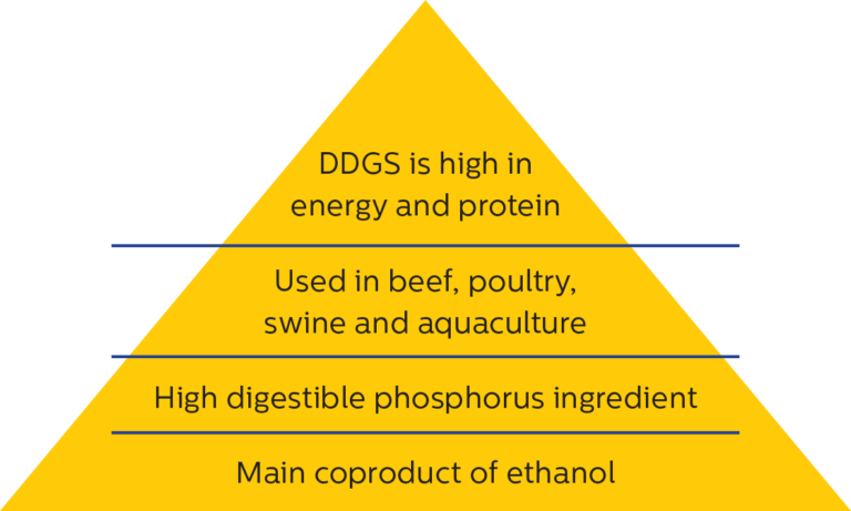 Distiller’s Dried Grains and Soluble (DDGS) – Damask Investment Malta